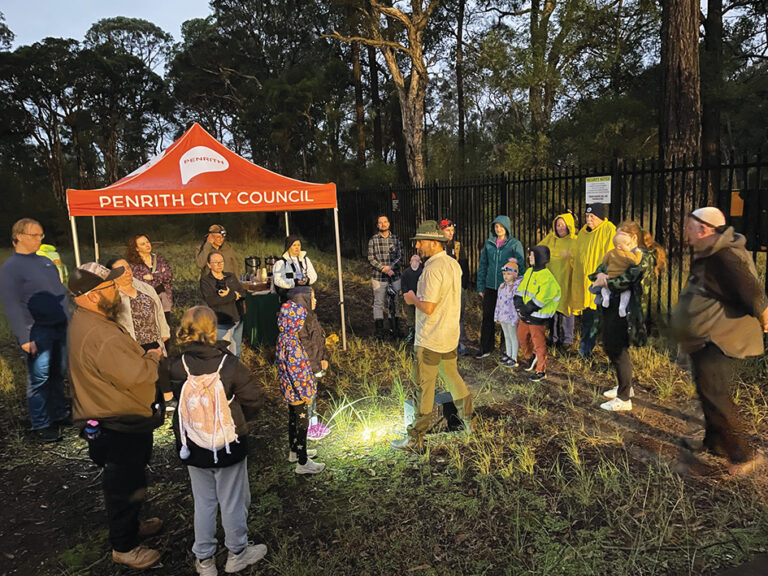 Nocturnal Safari - Nepean News